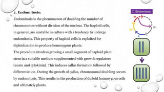 PRODUCTION OF HAPLOID PLANTS AND HOMOZYGOUS DIPLOID LINES | PPTX