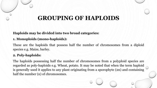 PRODUCTION OF HAPLOID PLANTS AND HOMOZYGOUS DIPLOID LINES | PPTX ...