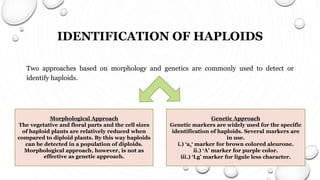 PRODUCTION OF HAPLOID PLANTS AND HOMOZYGOUS DIPLOID LINES | PPTX