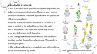 PRODUCTION OF HAPLOID PLANTS AND HOMOZYGOUS DIPLOID LINES | PPTX