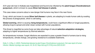 Presentation plant fungus Chondrostereum purpureum.pptx
