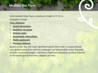 Presentation on plant size - Copy.pptx slideshear | PPTX