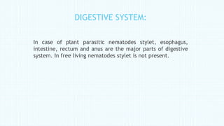 Plant parasitic nematode | PPTX | Biological Sciences | Science