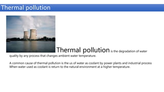 what is pollution? | PPTX