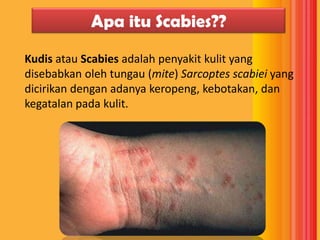 penyuluhan kesehatan di ponpes | PPTX