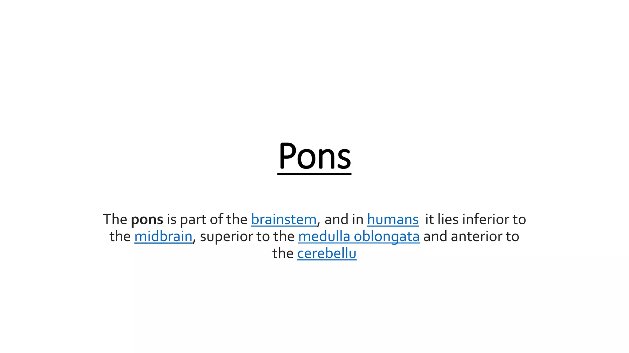 Presentation pons BRAIN | PPTX | Brain and Nervous System Disorders ...