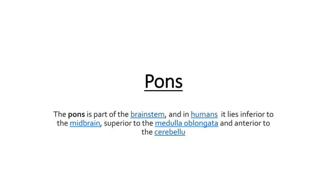 Presentation pons BRAIN | PPTX | Brain and Nervous System Disorders ...
