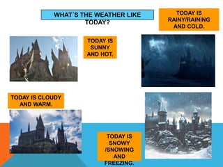 Personal Information Harry Potter | PPT