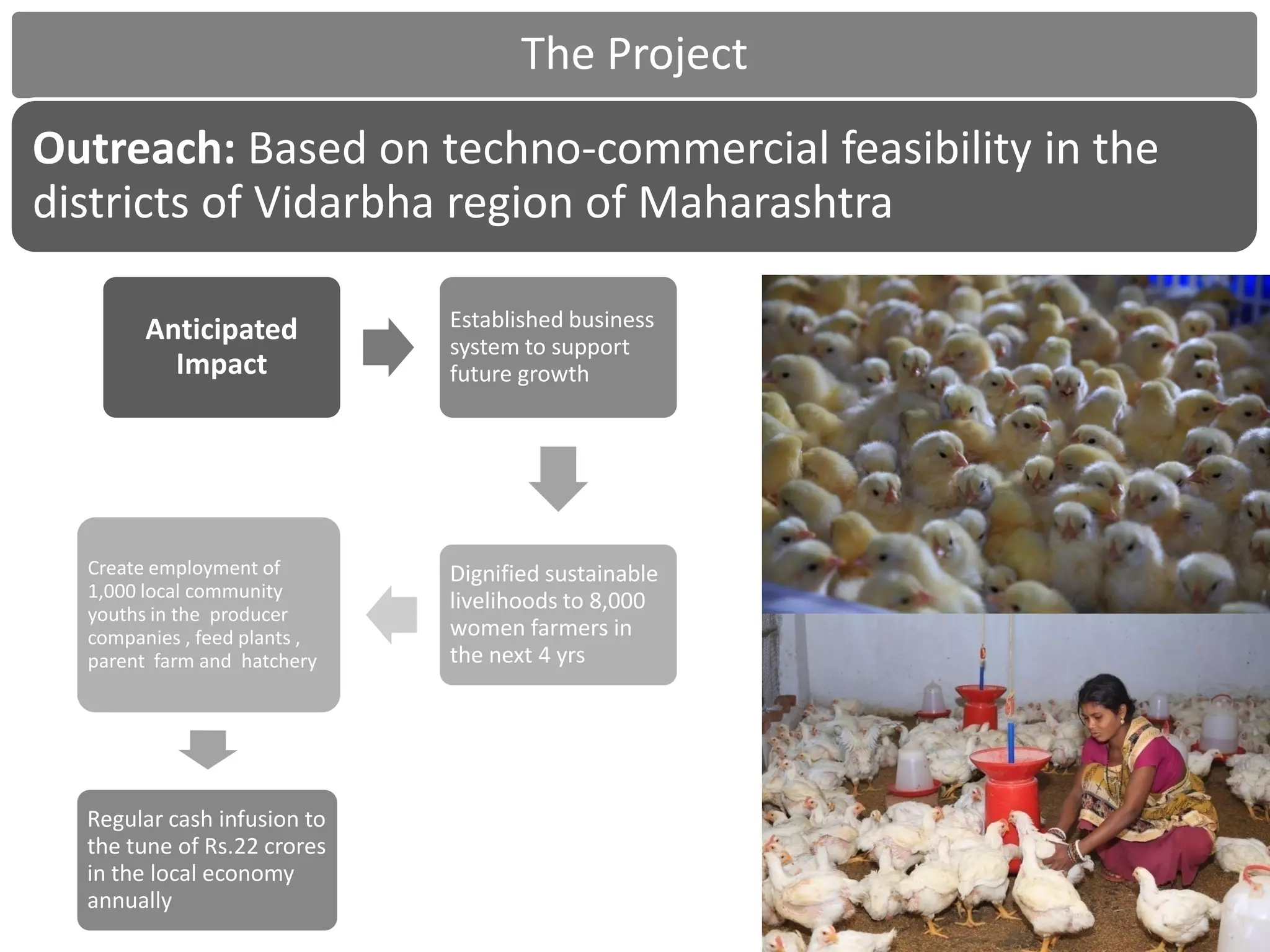 Presentation poultry project India | PDF