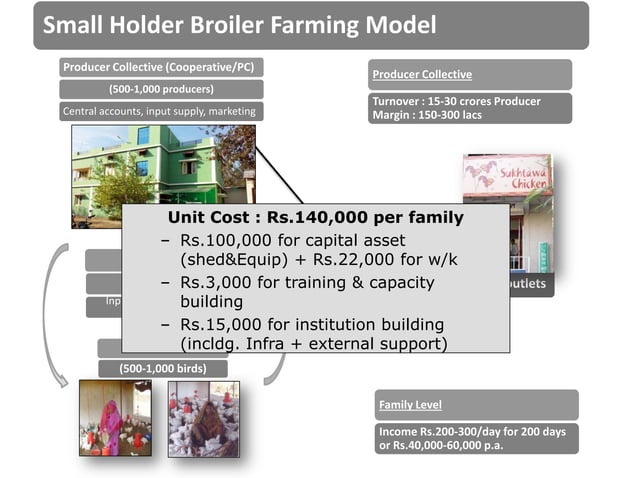 Presentation poultry project India | PDF | Agriculture | Industries