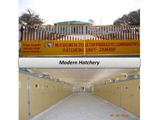 Presentation poultry project India | PDF | Agriculture | Industries