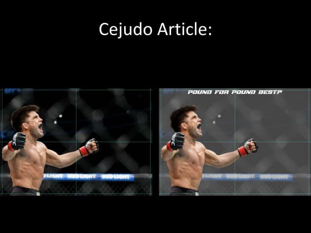 FMP Presentation PowerPoint | PPTX