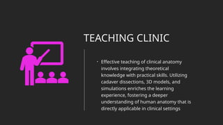 clinical anatomy by B.Deepthi (ASR homeopathic college tadepalligudem) | PPT