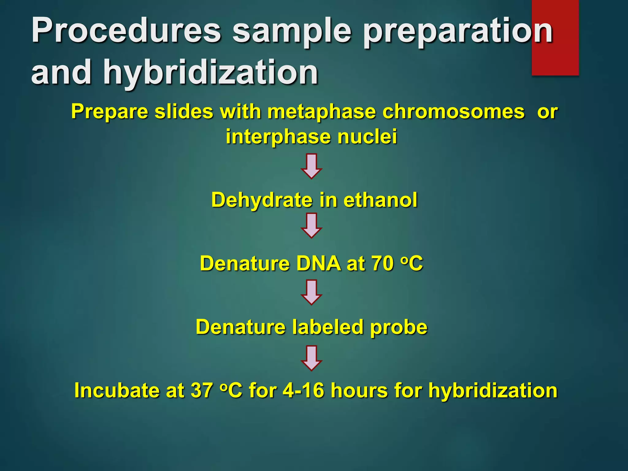 fish- Fluorescence in situ hybridization | PPTX