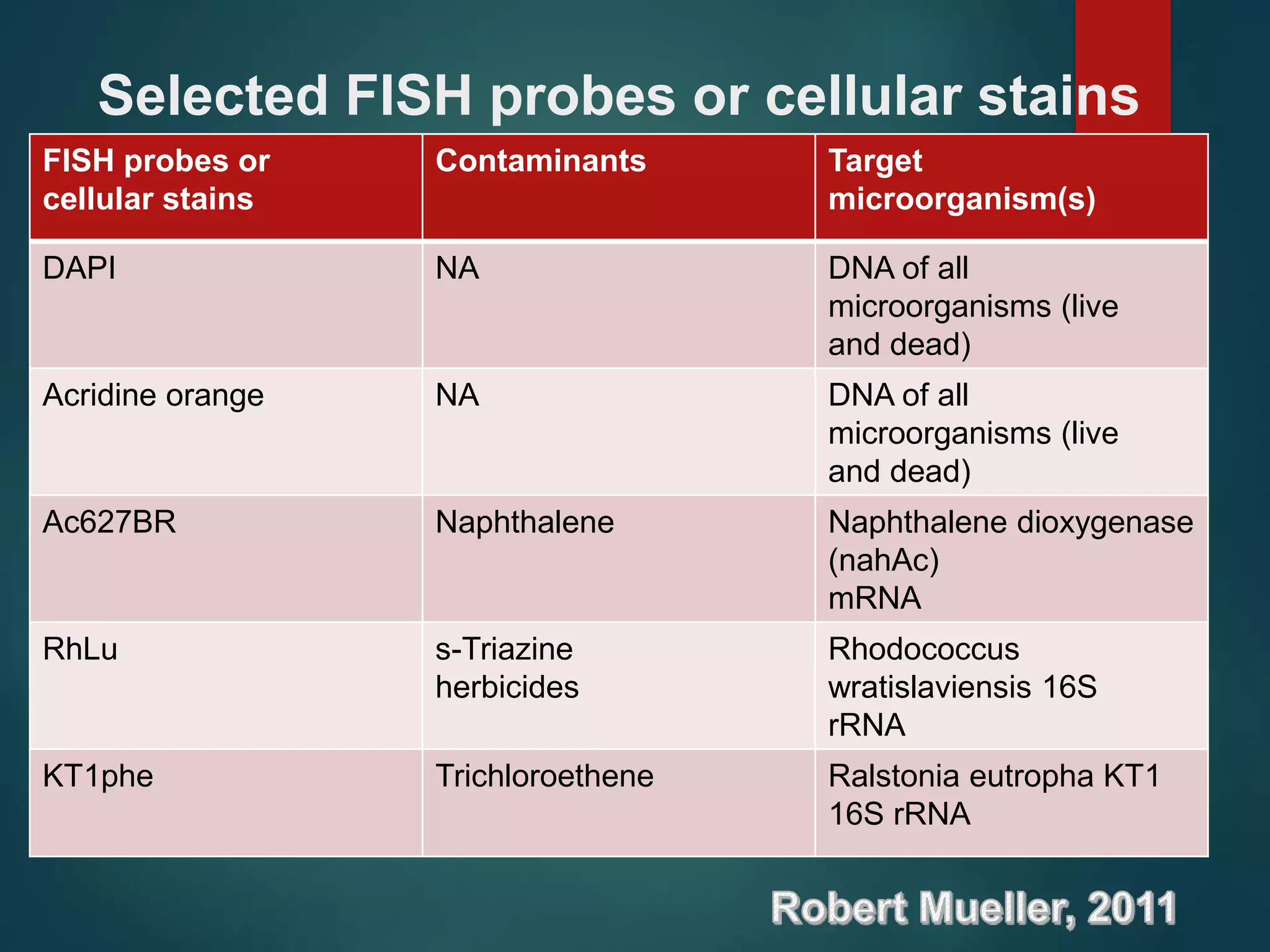 fish- Fluorescence in situ hybridization | PPTX