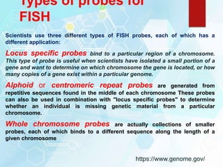 fish- Fluorescence in situ hybridization | PPTX