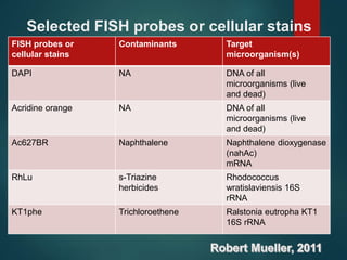 fish- Fluorescence in situ hybridization | PPTX