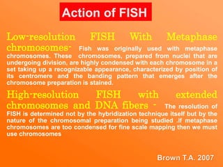 fish- Fluorescence in situ hybridization | PPTX