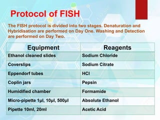 fish- Fluorescence in situ hybridization | PPTX