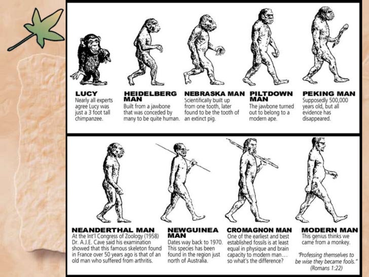 Presentation of Prehistoric Human Being