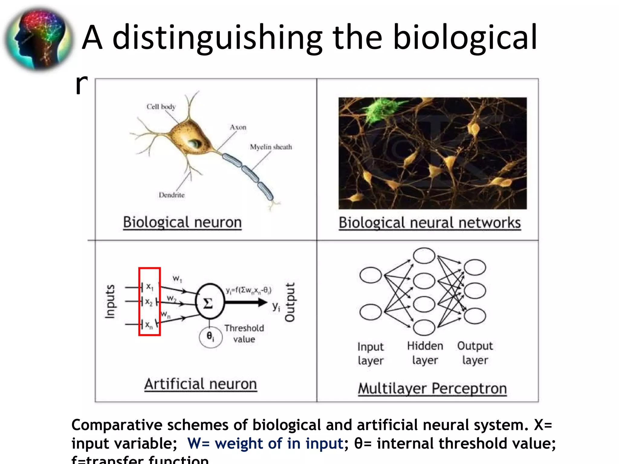 artificial neural network-gene prediction | PPT