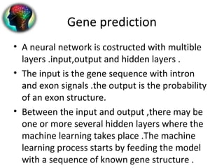 artificial neural network-gene prediction | PPT