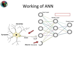 artificial neural network-gene prediction | PPT