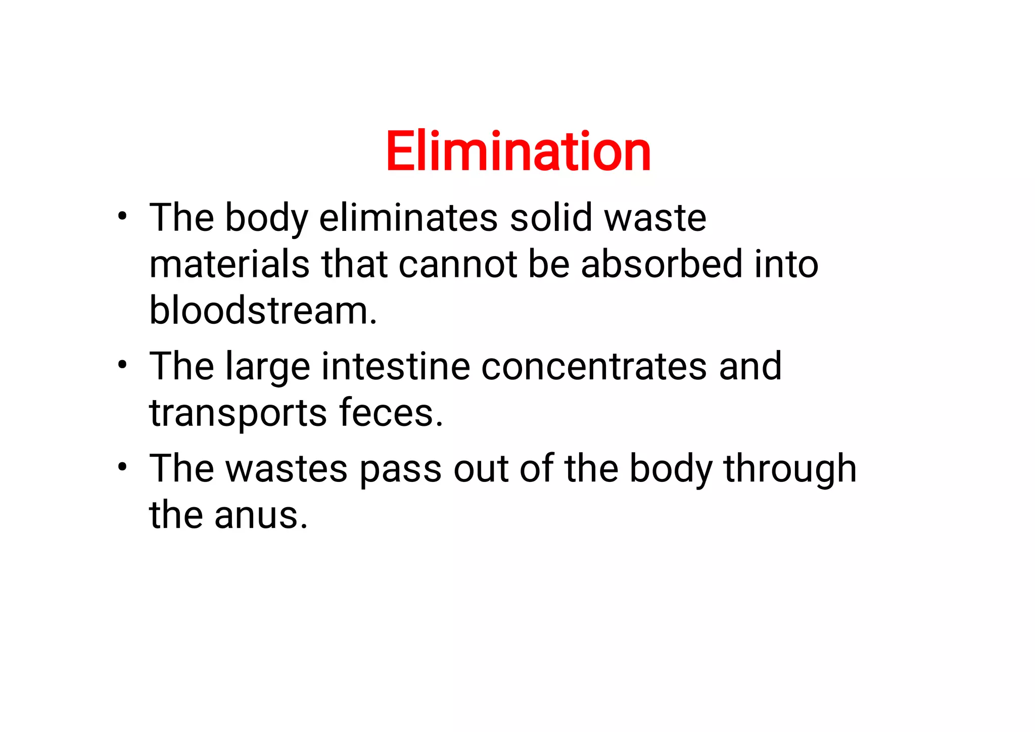 Medical terminology: digestive system | PDF