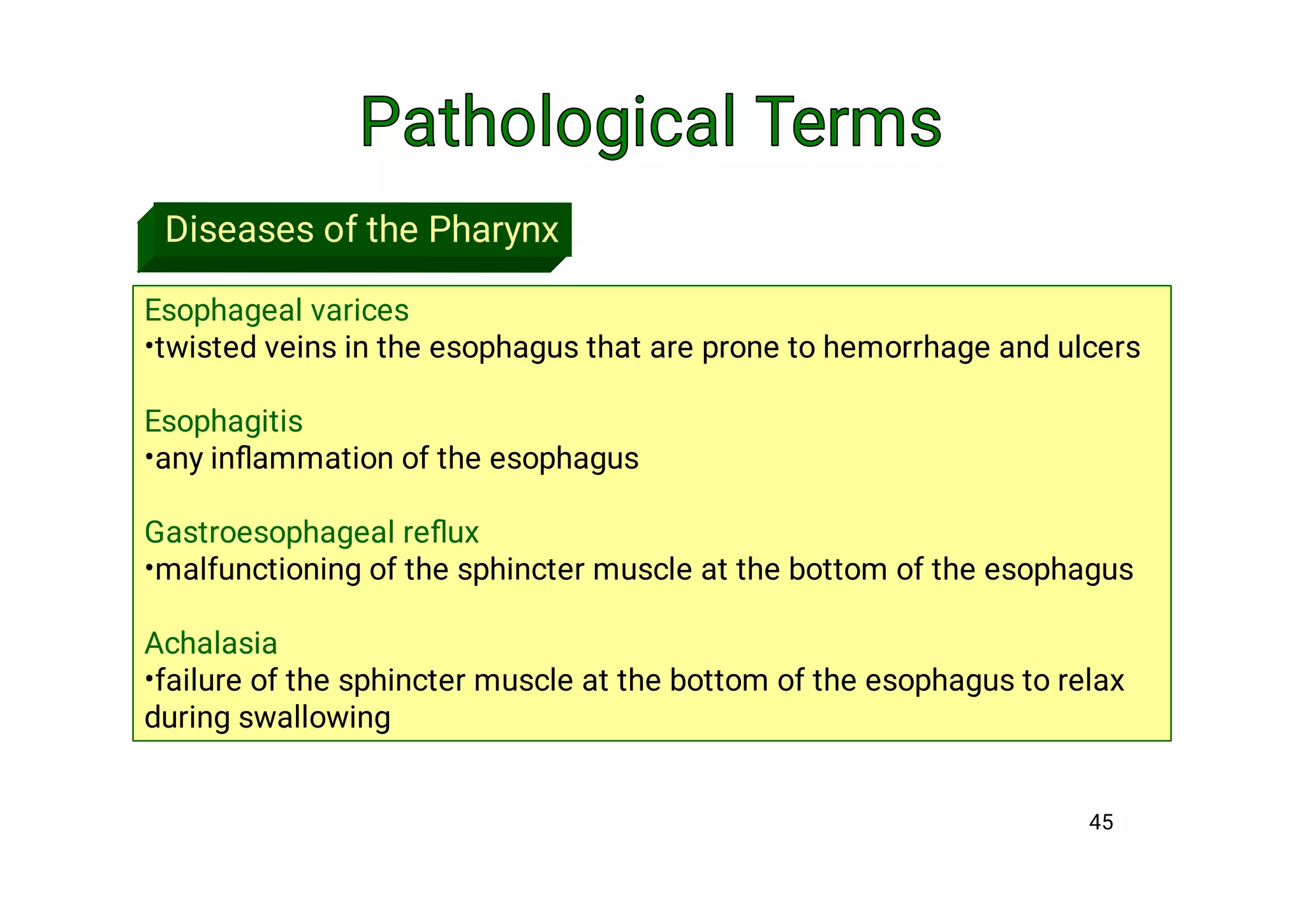 Medical terminology: digestive system | PDF