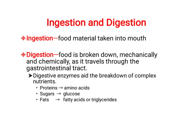 Medical terminology: digestive system | PDF