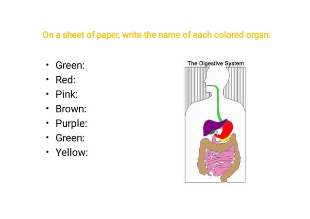 Medical terminology: digestive system | PDF