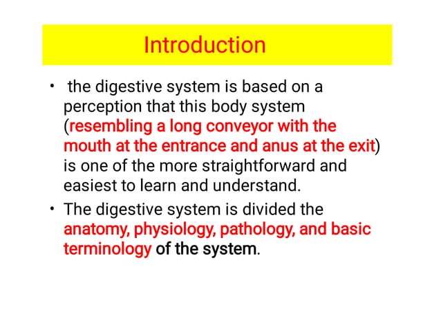 Medical terminology: digestive system | PDF