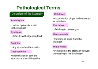 Medical terminology: digestive system | PDF