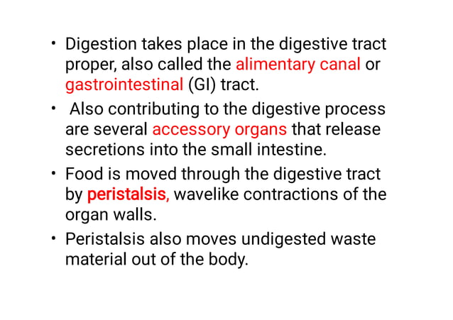 Medical terminology: digestive system | PDF