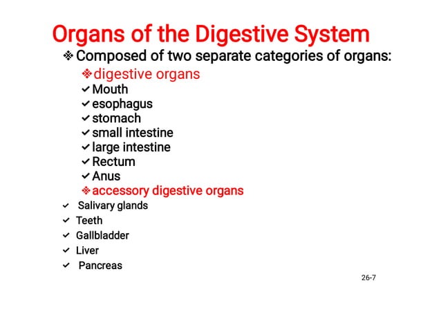 Medical terminology: digestive system | PDF