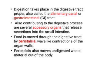 Medical terminology: digestive system | PPT