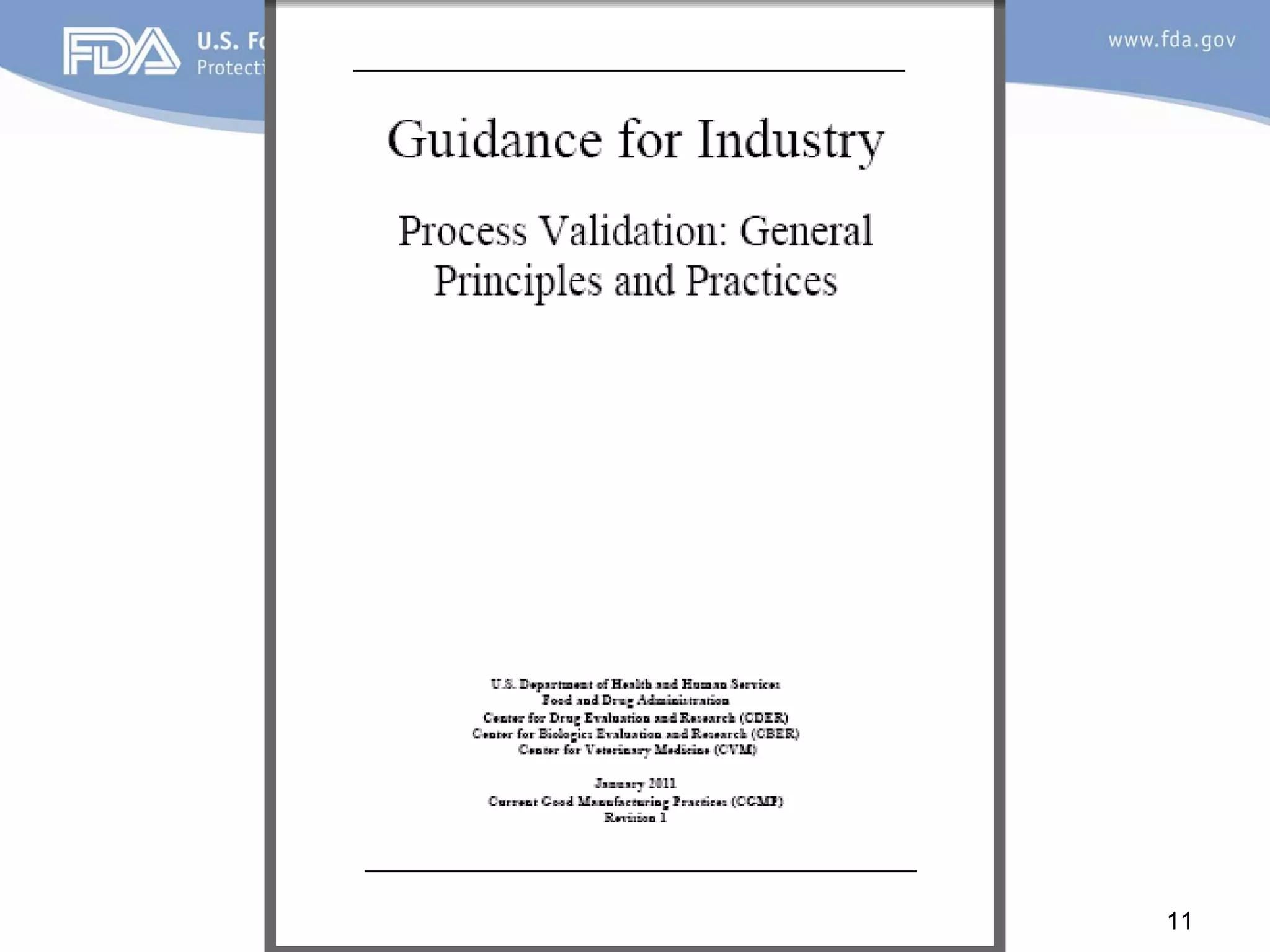 Presentation Process Validation A Lifecycle Approach .pdf