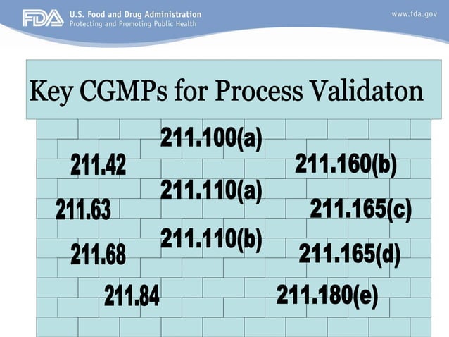 Presentation Process Validation A Lifecycle Approach .pdf