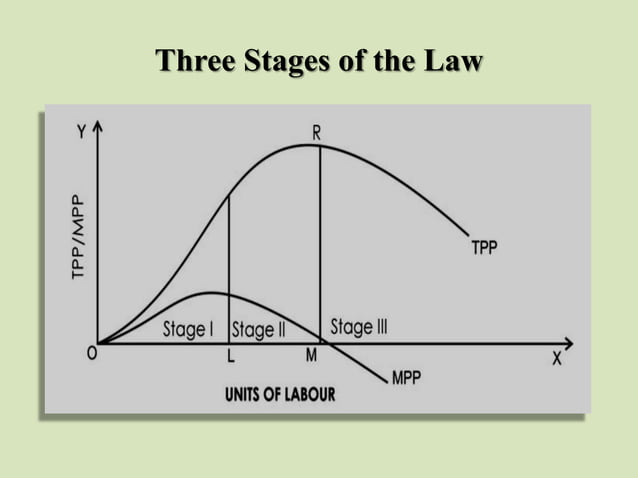 Production Function Ppt Pptx