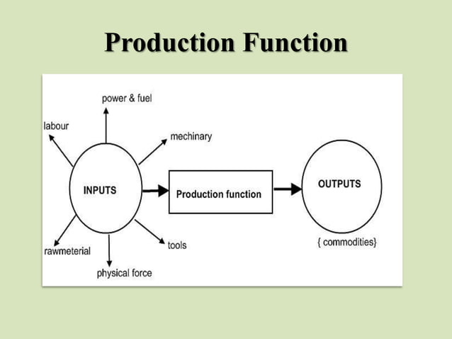 PRODUCTION FUNCTION PPT.pptx