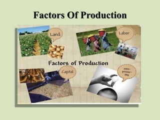 PRODUCTION FUNCTION PPT.pptx
