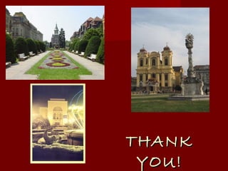 Presentation Prof[1]. Maria Puiu | PPT