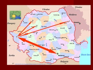 Presentation Prof[1]. Maria Puiu | PPT