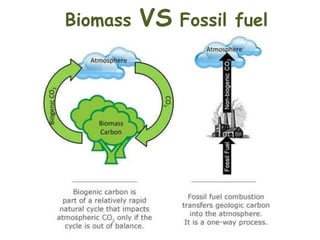 Biomass | PPT