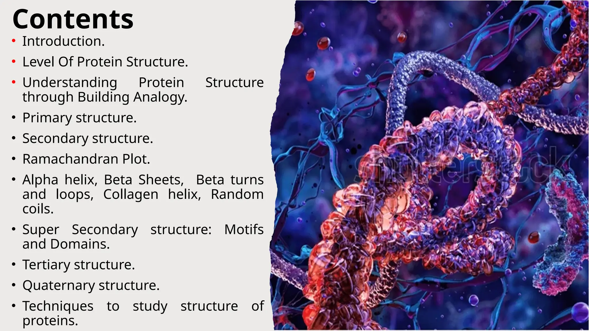 Presentation protein structure......by ARJUMAND, ALIGARH MUSLIM UNIVERSITY | PPTX