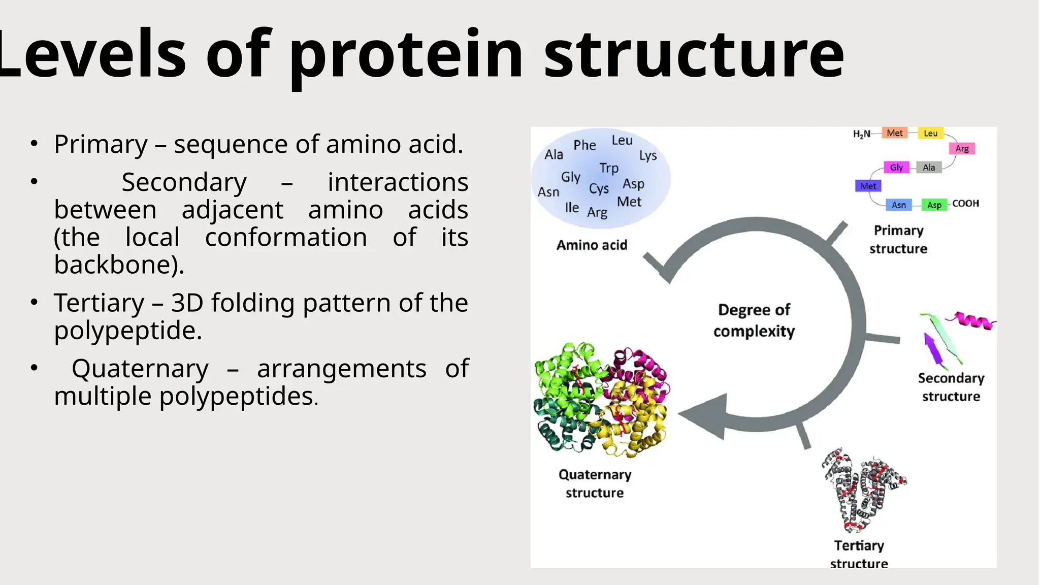 Presentation protein structure......by ARJUMAND, ALIGARH MUSLIM ...