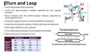 Presentation protein structure......by ARJUMAND, ALIGARH MUSLIM ...