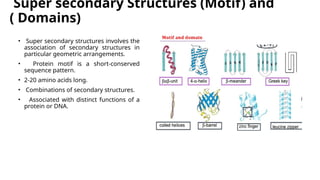 Presentation protein structure......by ARJUMAND, ALIGARH MUSLIM ...