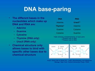Presentation Protein Synthesis | PPT