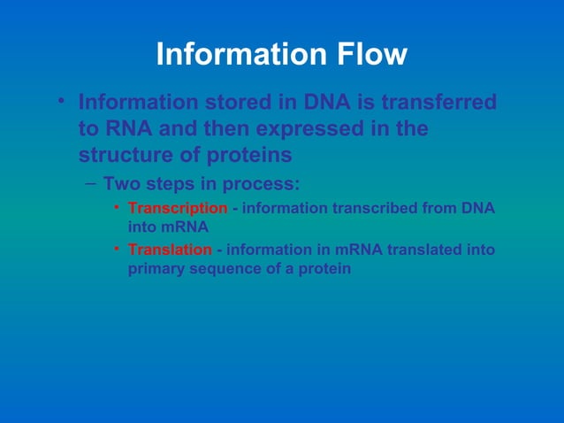 Presentation Protein Synthesis | PPT